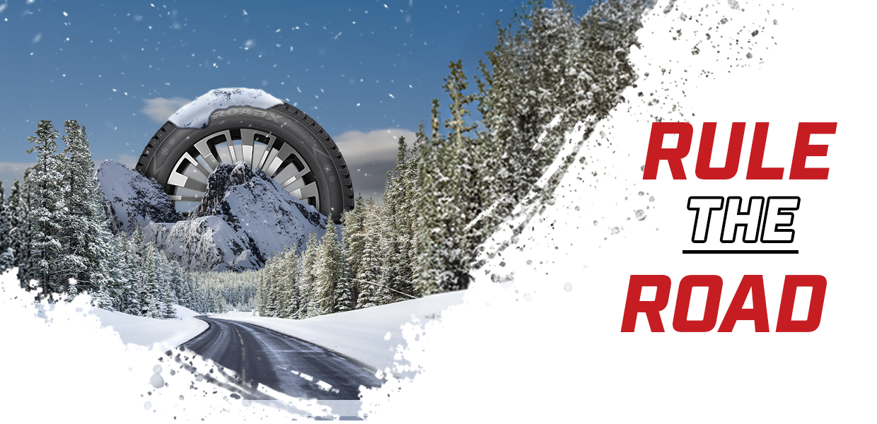 Winter Tire - RoadX Tire Canada