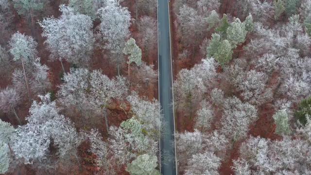 RoadX Tire Canada - Passenger, SUV, CUV, Winter Tires